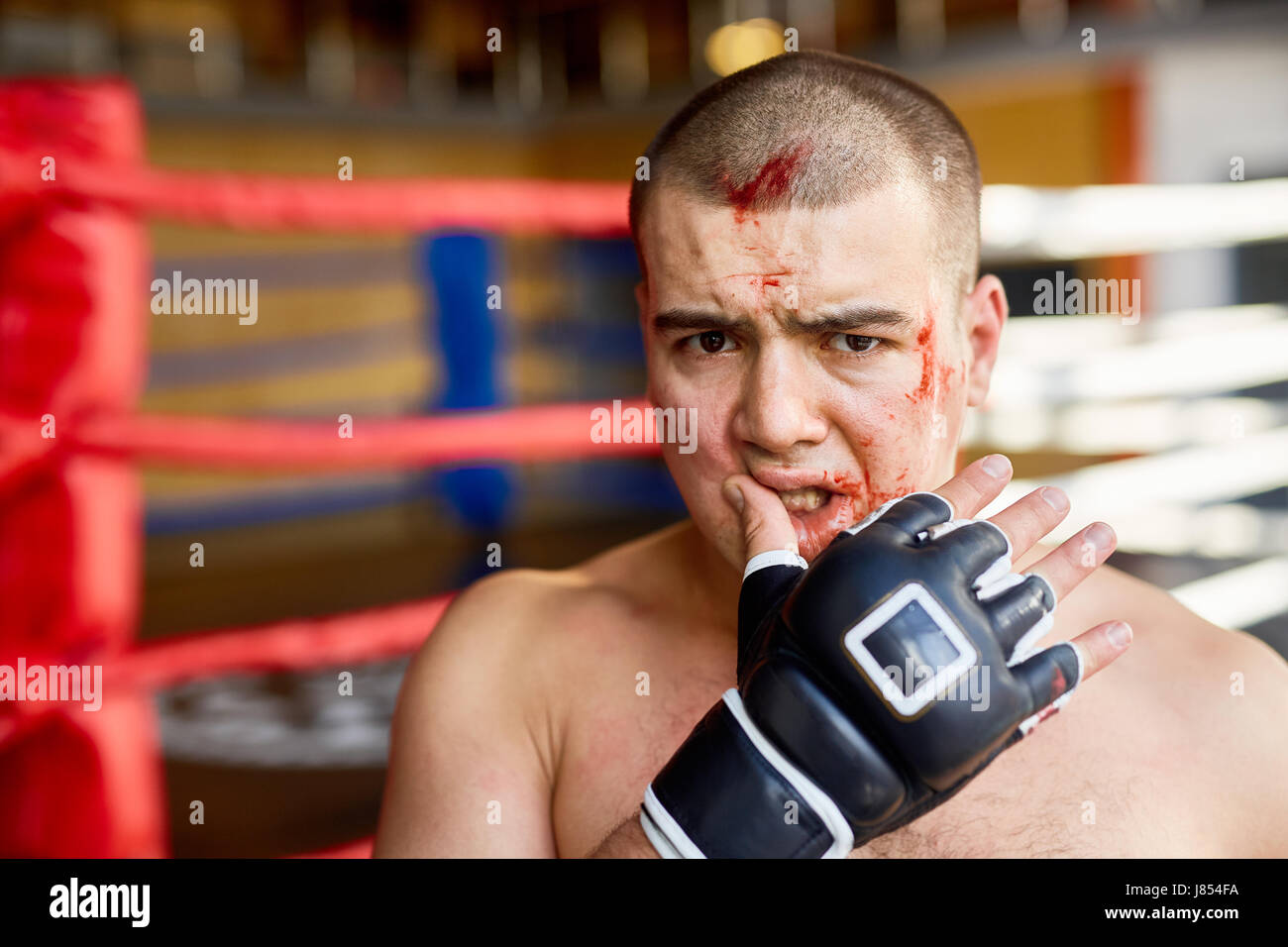 Defeated fighter with blood on face looking at camera Stock Photo - Alamy