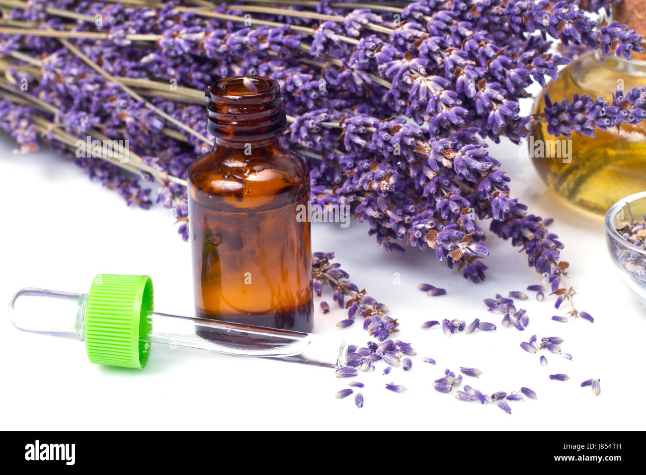 leaf isolated medicinally medical flower plant flora bottle material ...