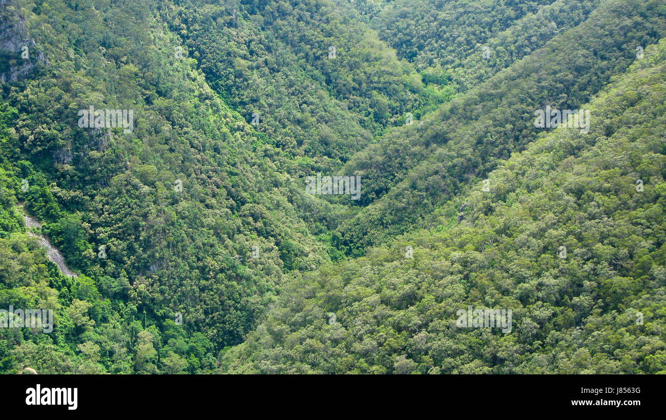 beautiful beauteously nice environment enviroment tree trees park stone ...