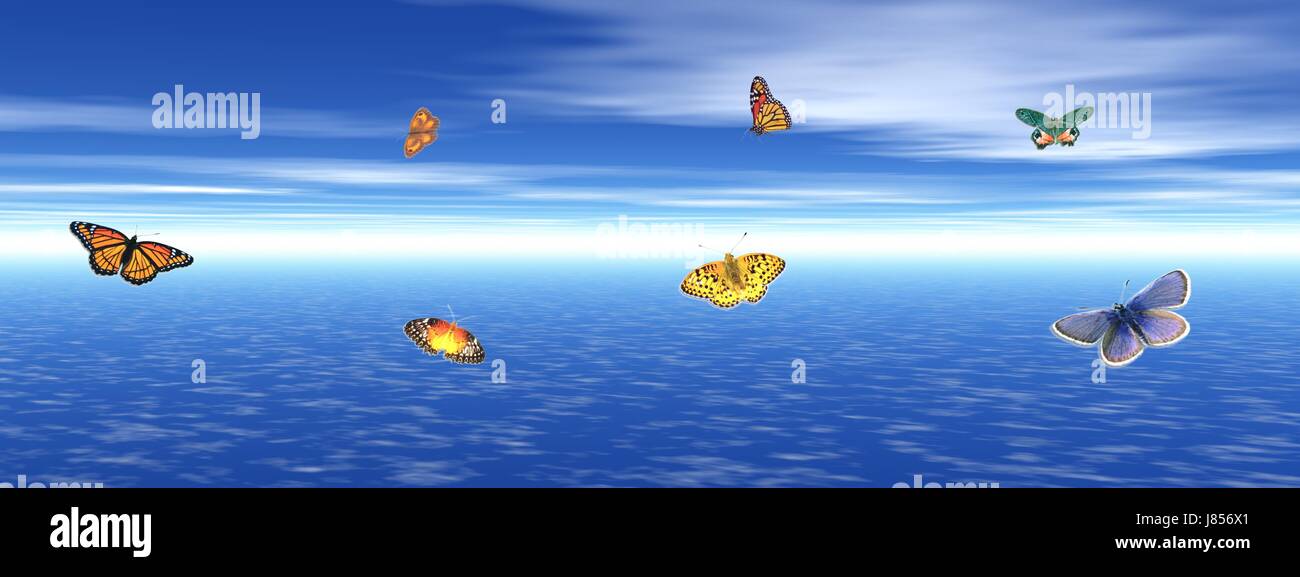butterfly animals illustration butterflies salt water sea ocean water ...
