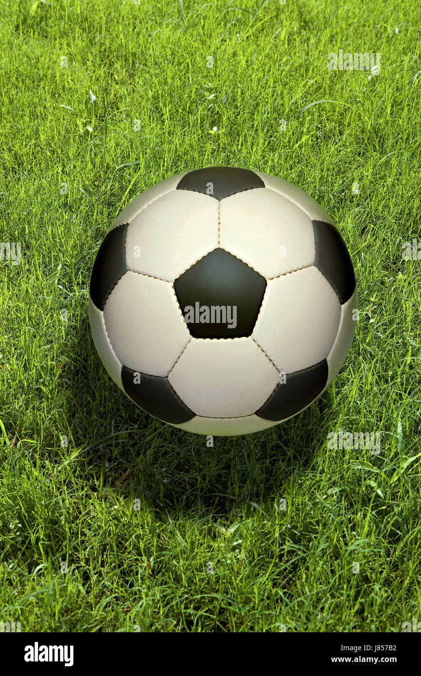 sport sports ball field leather fifa player globe planet earth world ...