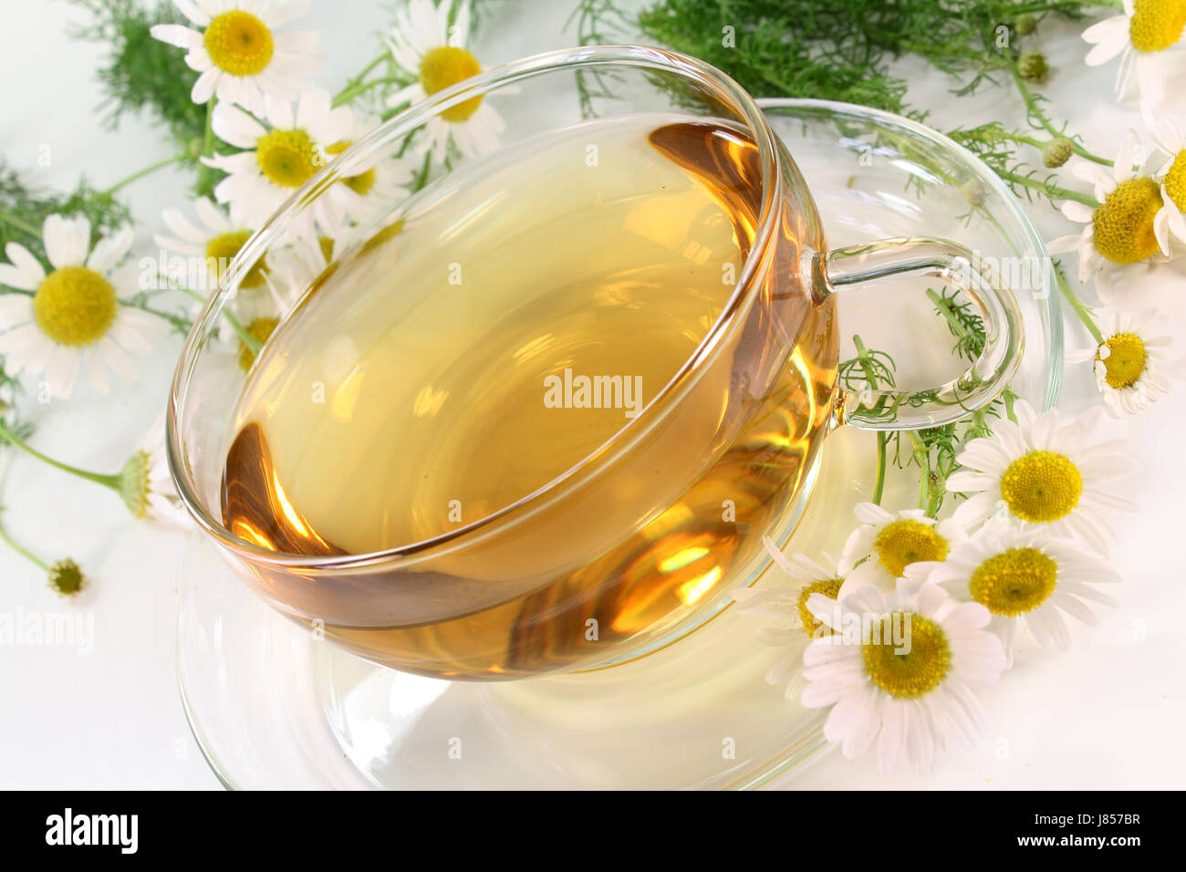 Kamillenbltentee hi-res stock photography and images - Alamy