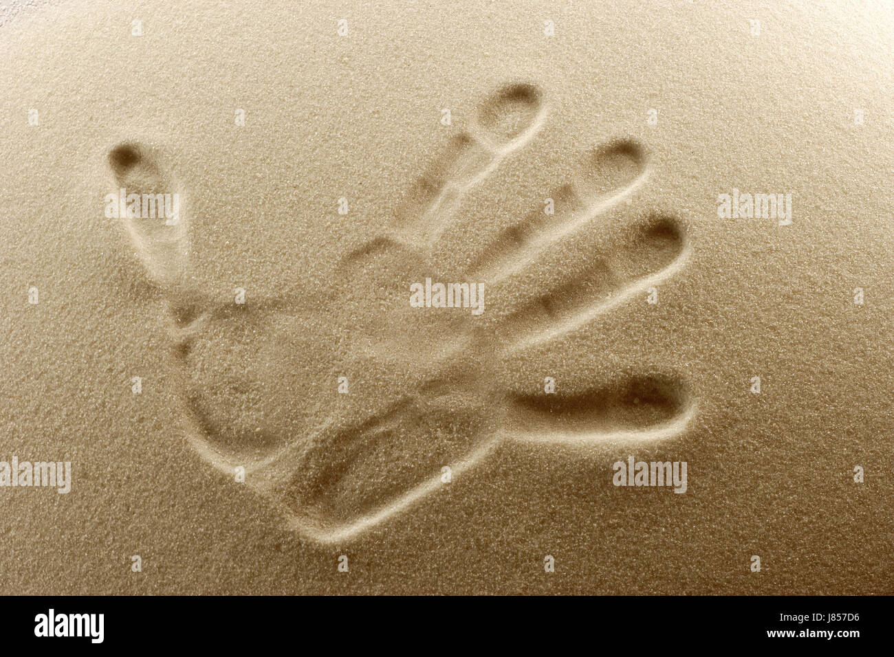 beige mark character track footmark footprint sign imprint grit groove ...