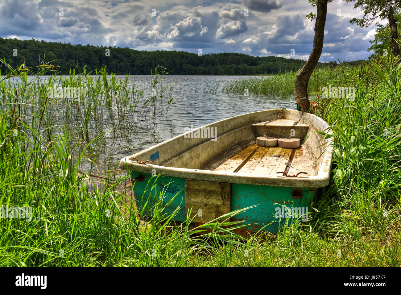 tree reed salt water sea ocean water rowing boat sailing boat sailboat ...