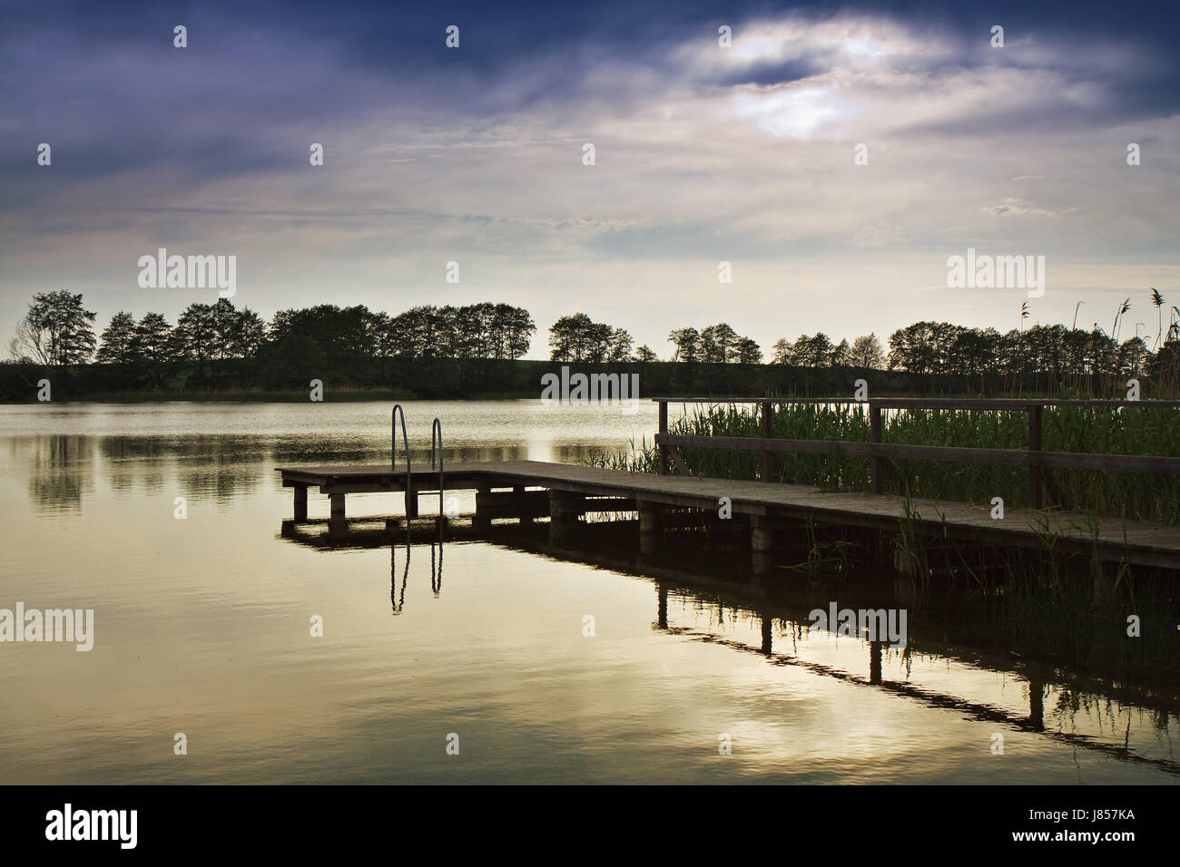 tree bridge fresh water lake inland water water reed forest blue tree ...