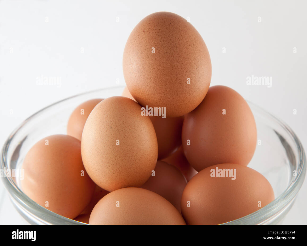 food aliment egg chicken ingredient protein healthy food aliment health ...