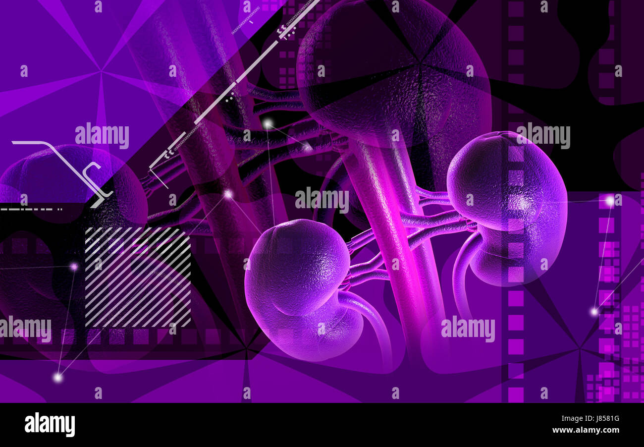 education medicinally medical graphics colour illustration violet ...