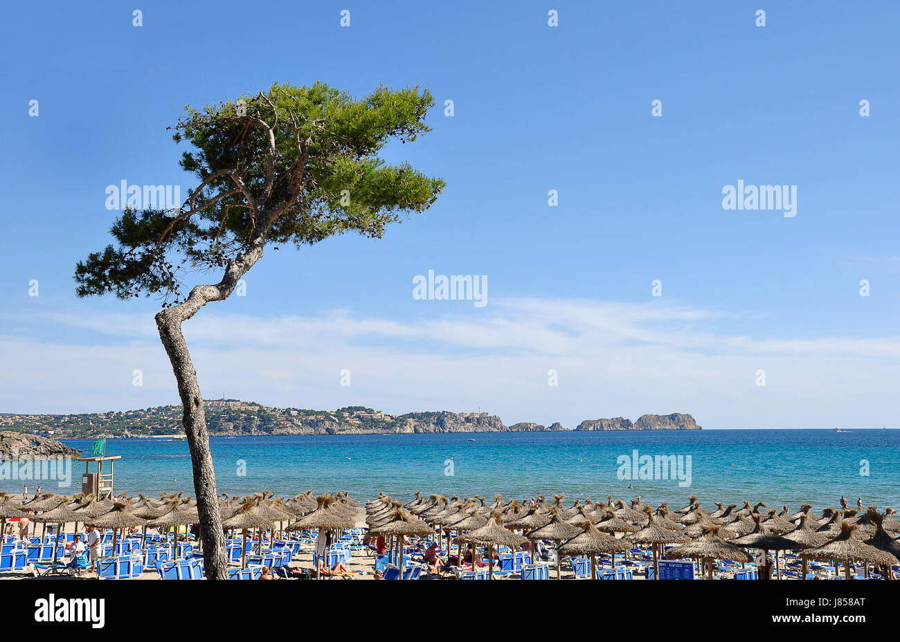 beach in majorca Stock Photo - Alamy