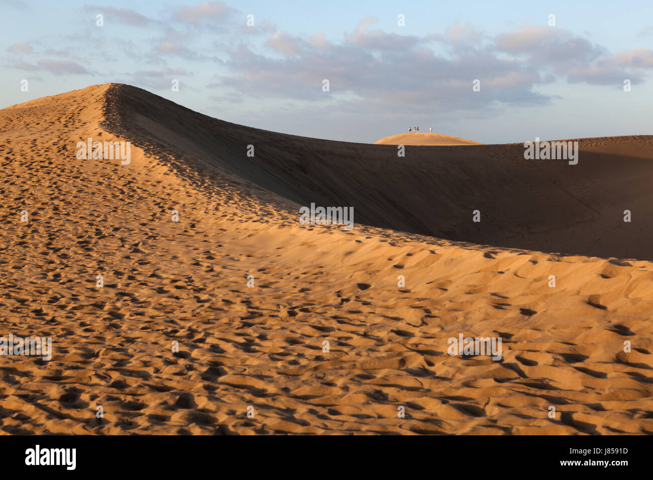spain canary islands canaries humans human beings people folk persons ...