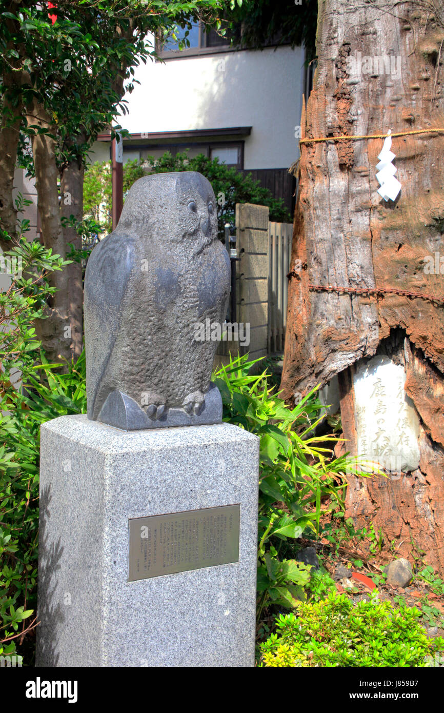 A Monument of Owl Nearby Old Elm Tree on the Way to Toyokashima-Jinja ...
