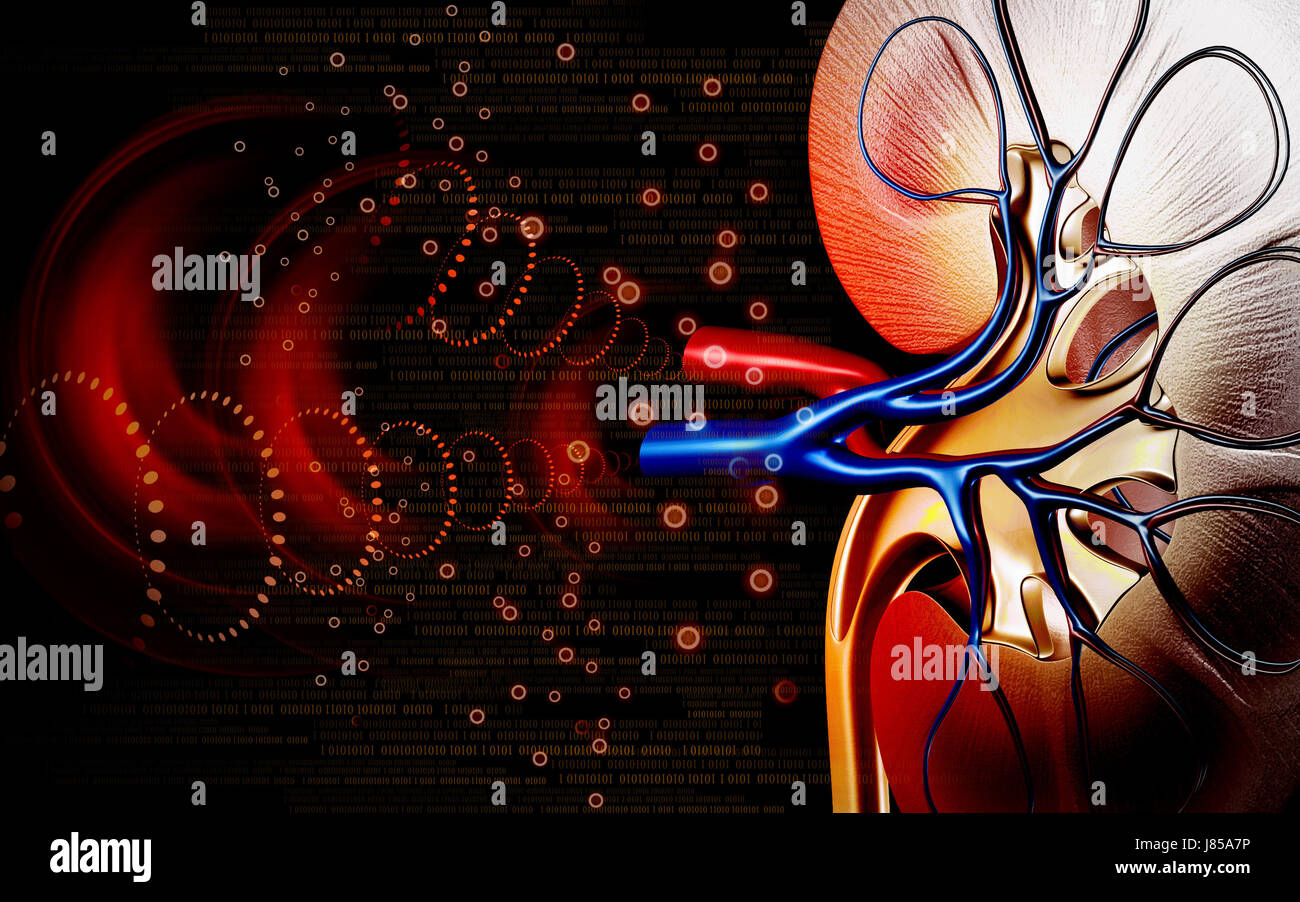 education medicinally medical graphics colour science illustration ...