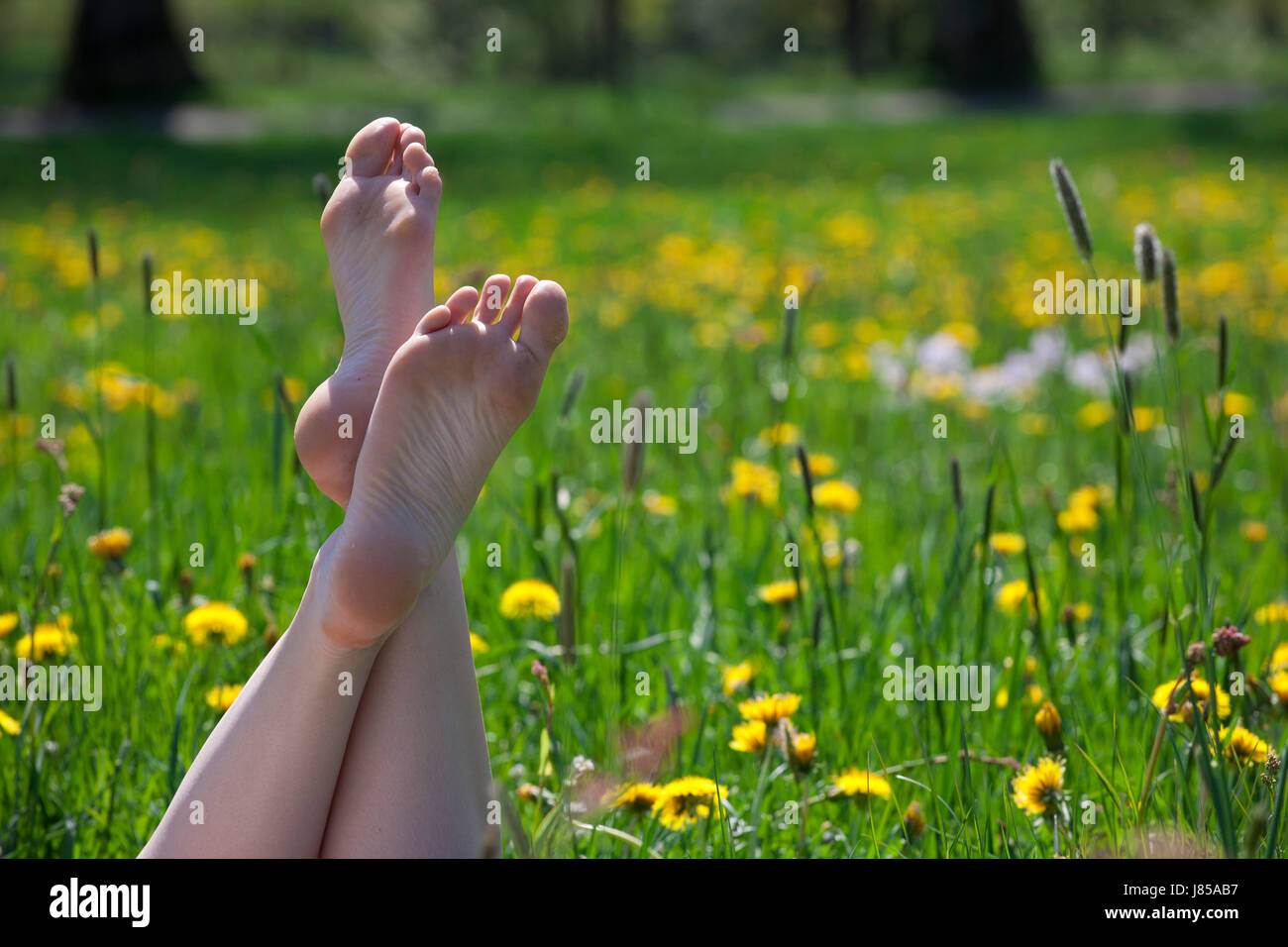 woman legs spring barefoot flower meadow meadow girl girls woman legs ...