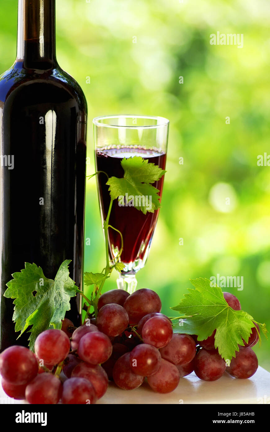 green wine alcohol harvest bottle vine grape vine grape-vine grape leaf ...
