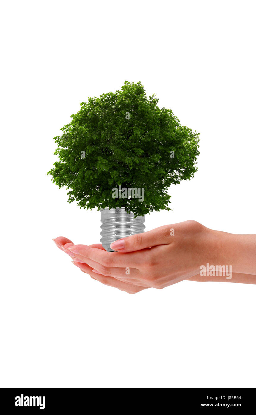 hand eco environment enviroment tree fingers resource sustainable hand ...