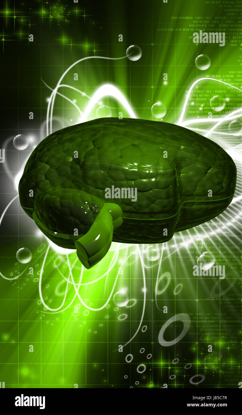 health medicinally medical graphics colour human human being ...