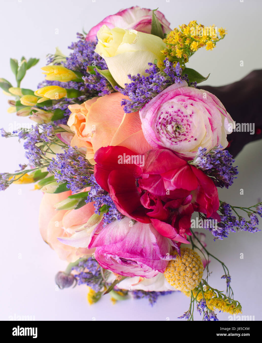 arrangement beautiful beauteously nice leaf isolated colour model ...