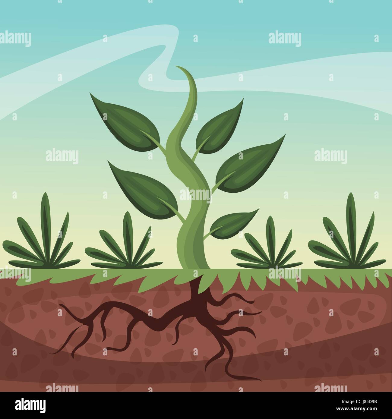 Closeup grow growing Stock Vector Images - Alamy