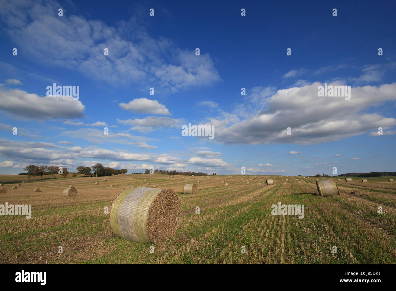 field straw ball scenery countryside nature field width straw ball late ...