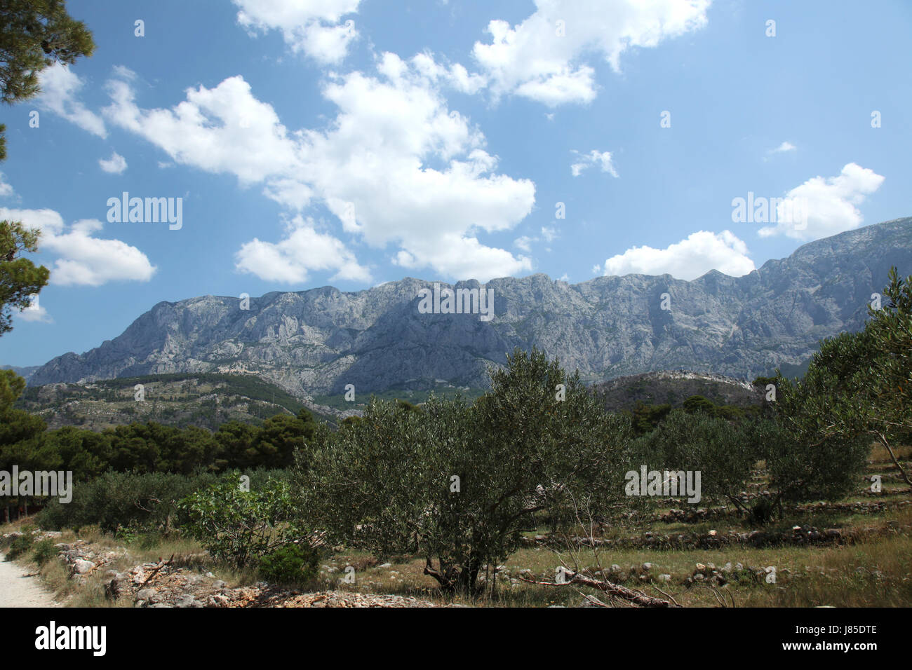hike go hiking ramble conservation of nature adriatic sea croatia ...
