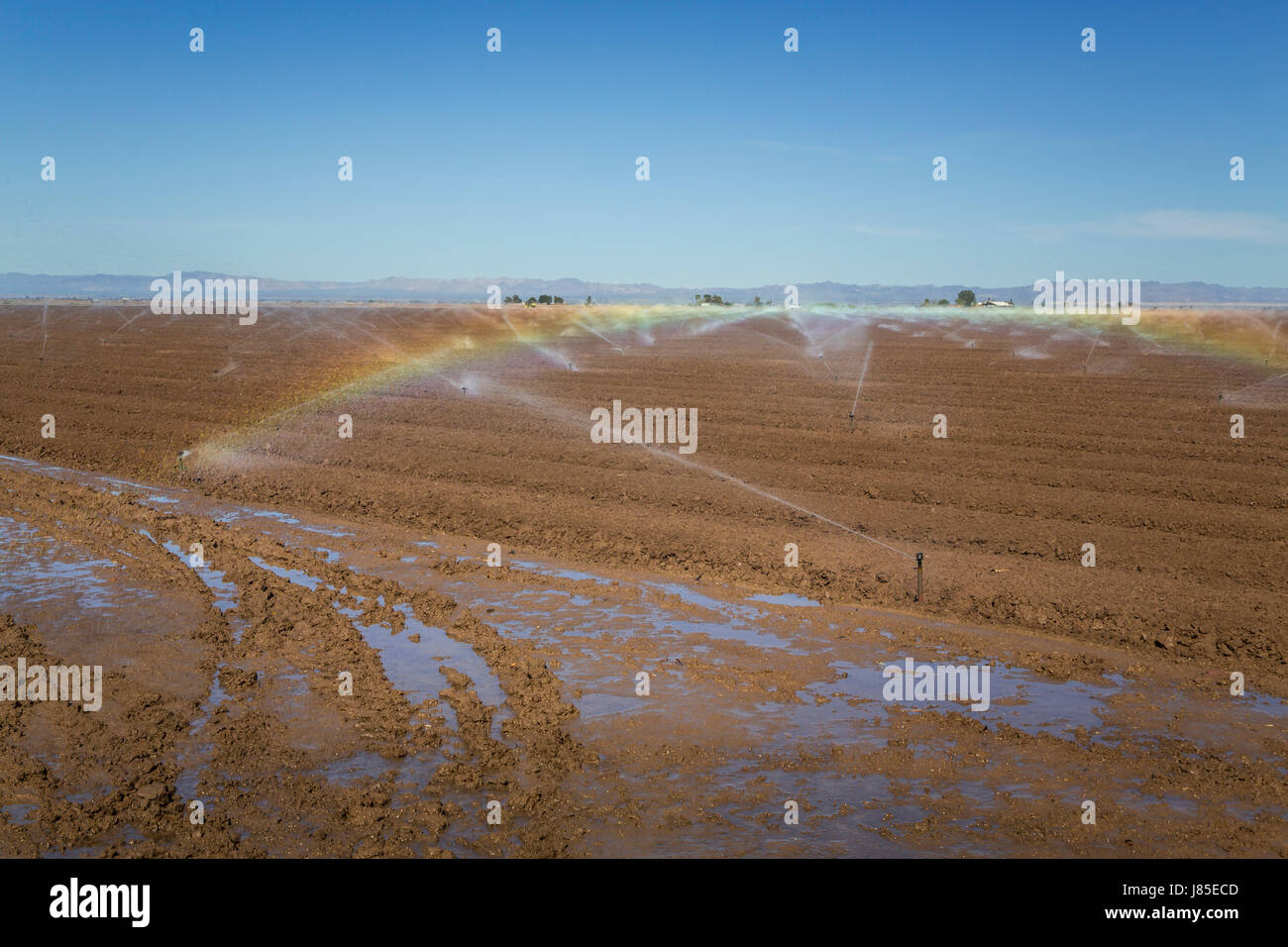 Field irrigation in the Imperial Valley of California, USA Stock Photo ...
