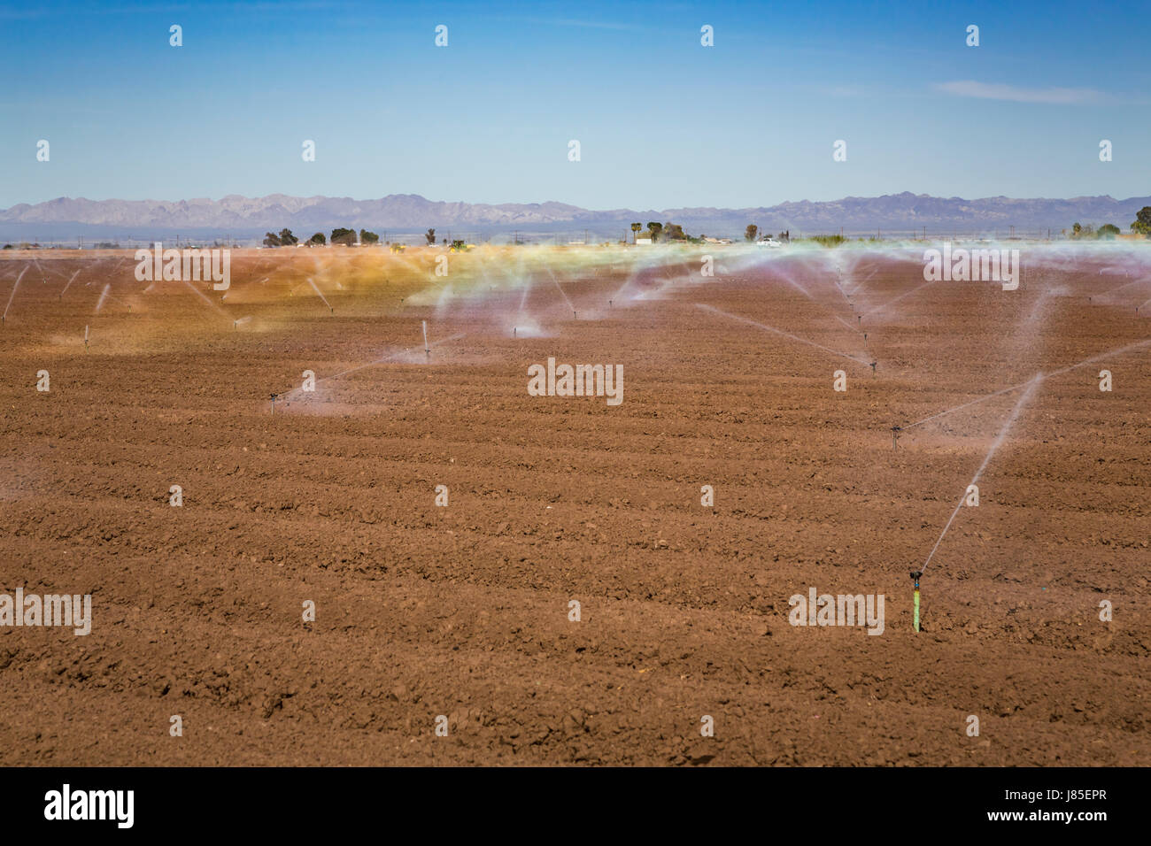Field irrigation in the Imperial Valley of California, USA Stock Photo ...