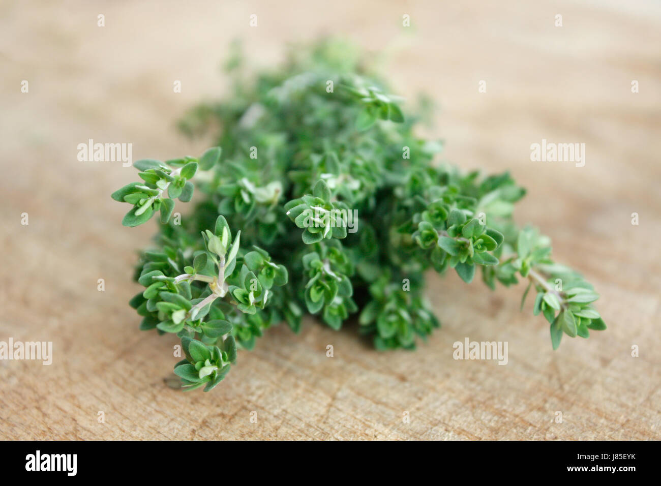 food aliment leaf spice condiment wood leaves freshness aromatic bush ...