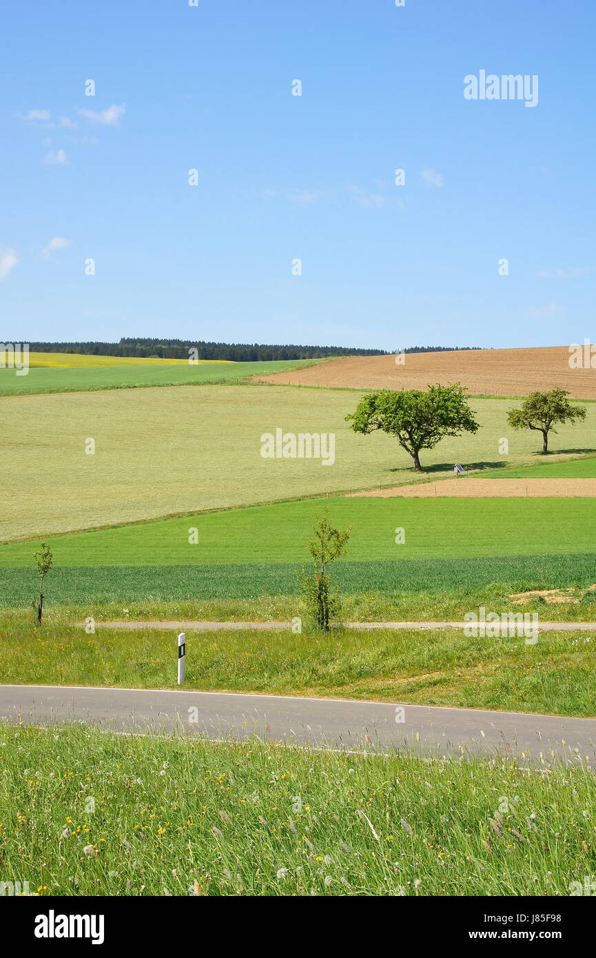 green field culture landscape street road scenery countryside nature ...