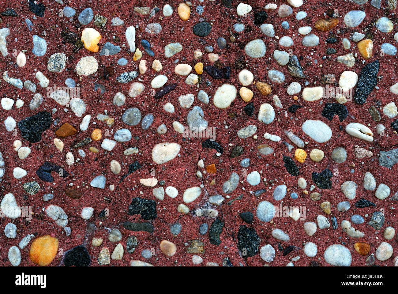 stone beach seaside the beach seashore rock pavement small tiny little ...