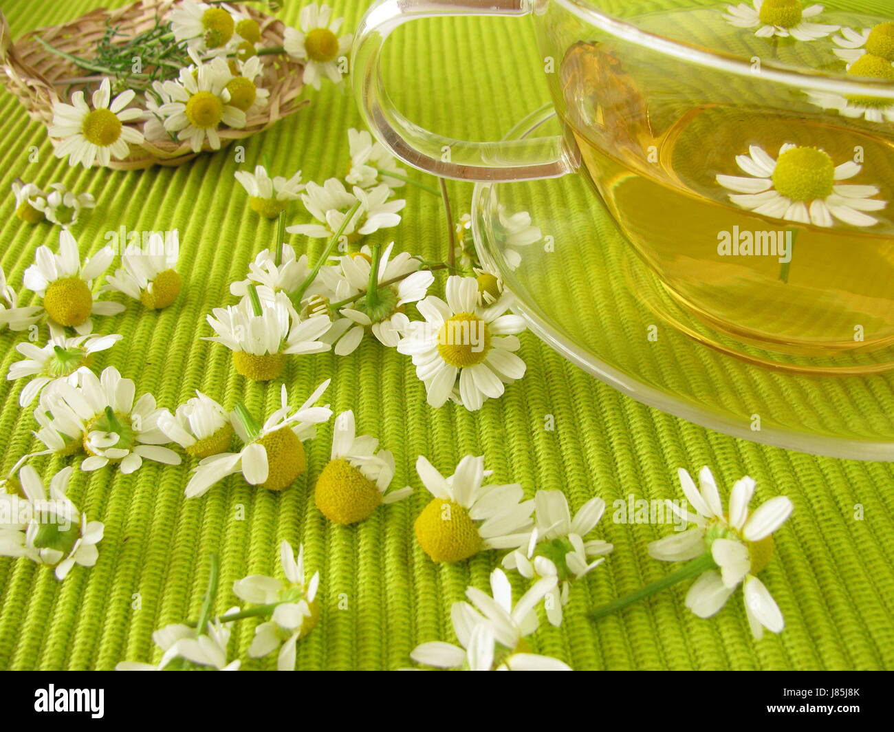 tea camomile camomiletea cup tea health drink blossoms compositae ...