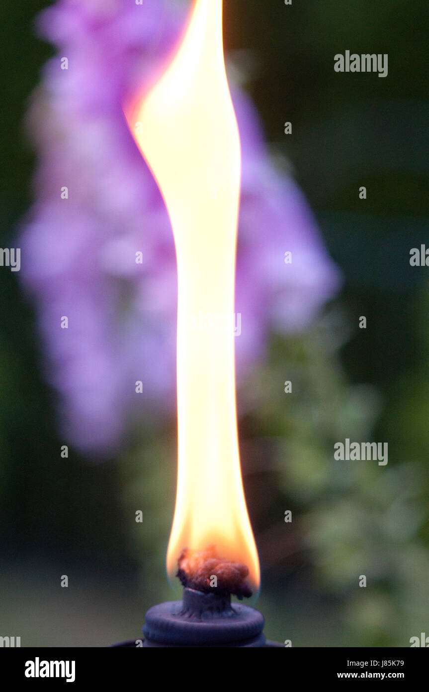 Signaling pathway hi-res stock photography and images - Alamy