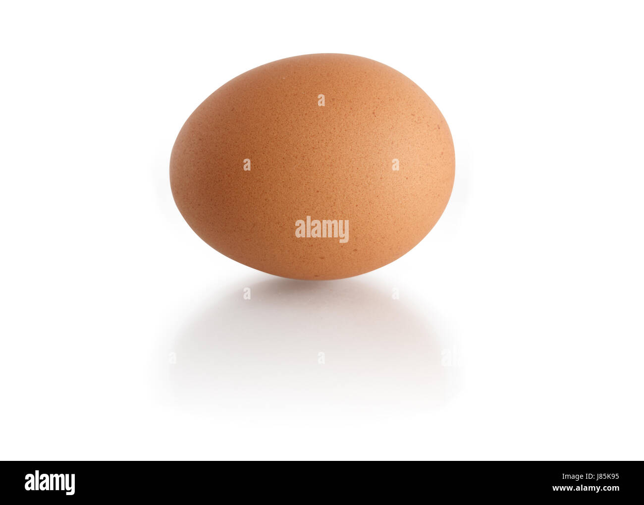 Chicken egg cross section hi-res stock photography and images - Alamy