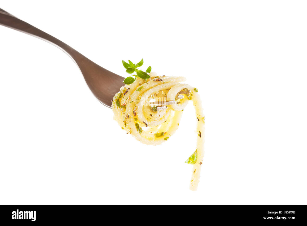 spaghetti pasta pesto food aliment leaf isolated traditional spaghetti ...