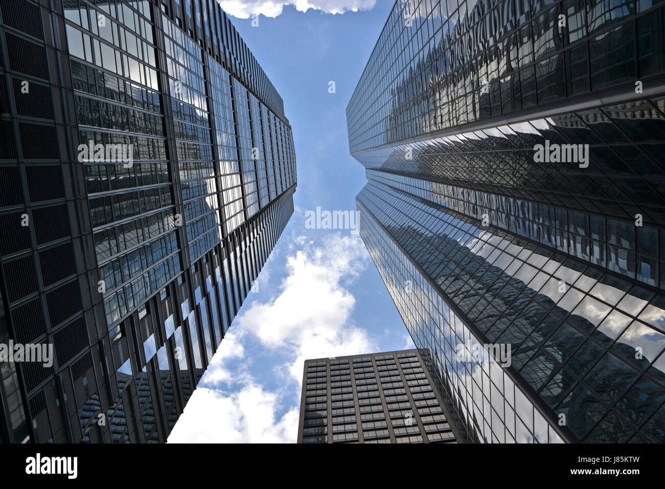 worms eye office building office block block of offices building ...