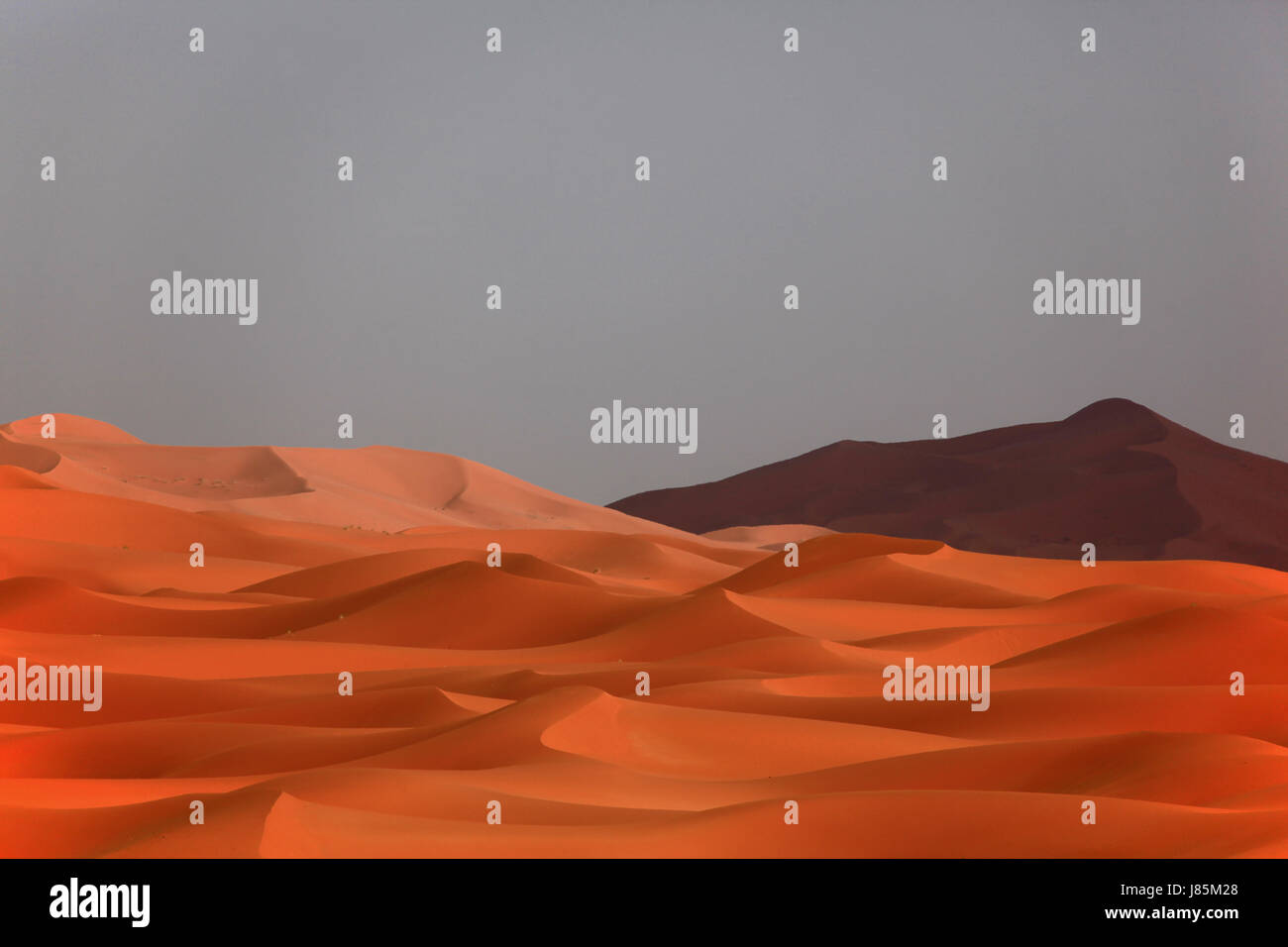 desert wasteland dune morocco environment enviroment desert wasteland ...