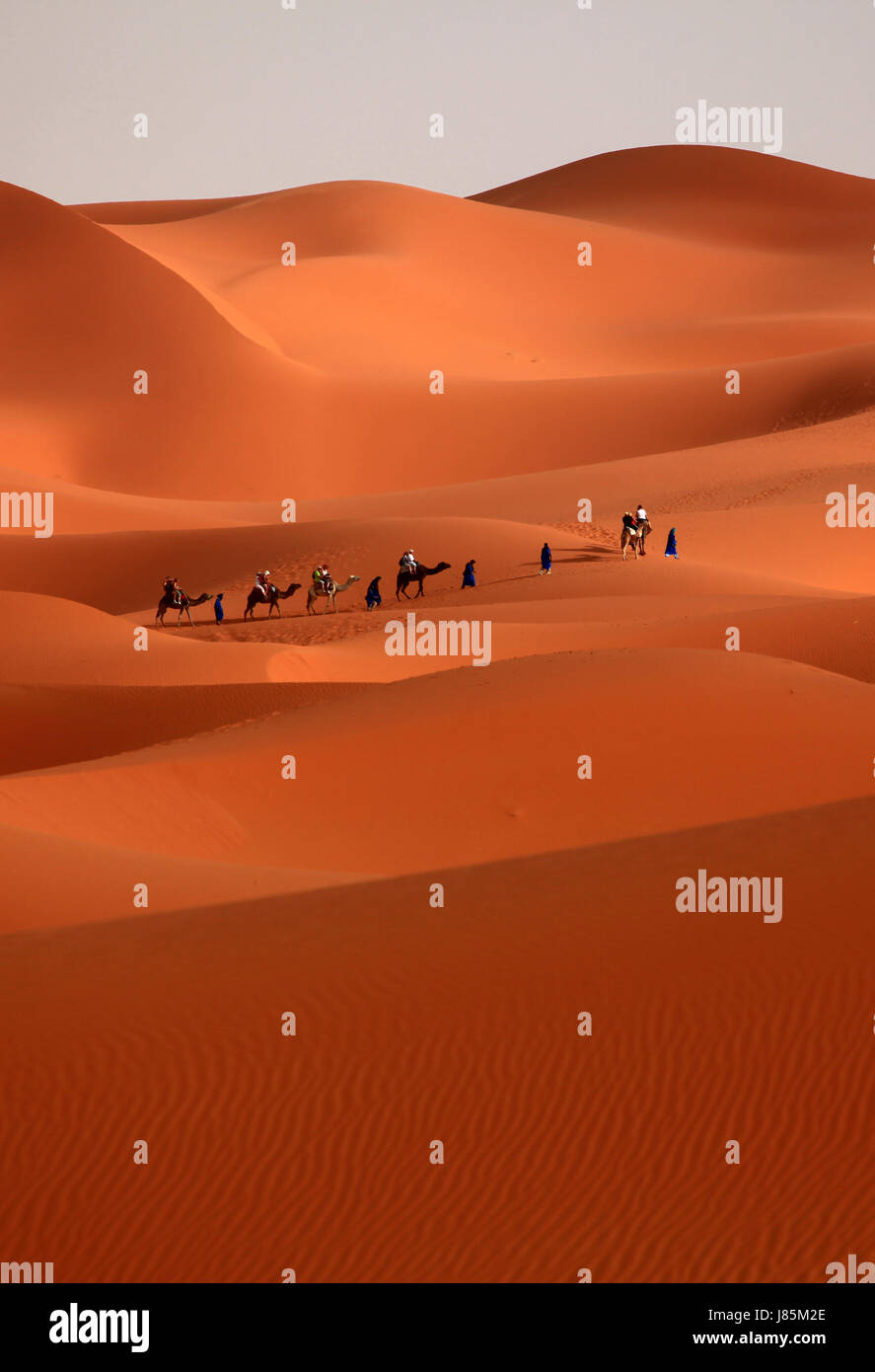 desert wasteland dune morocco environment enviroment desert wasteland ...