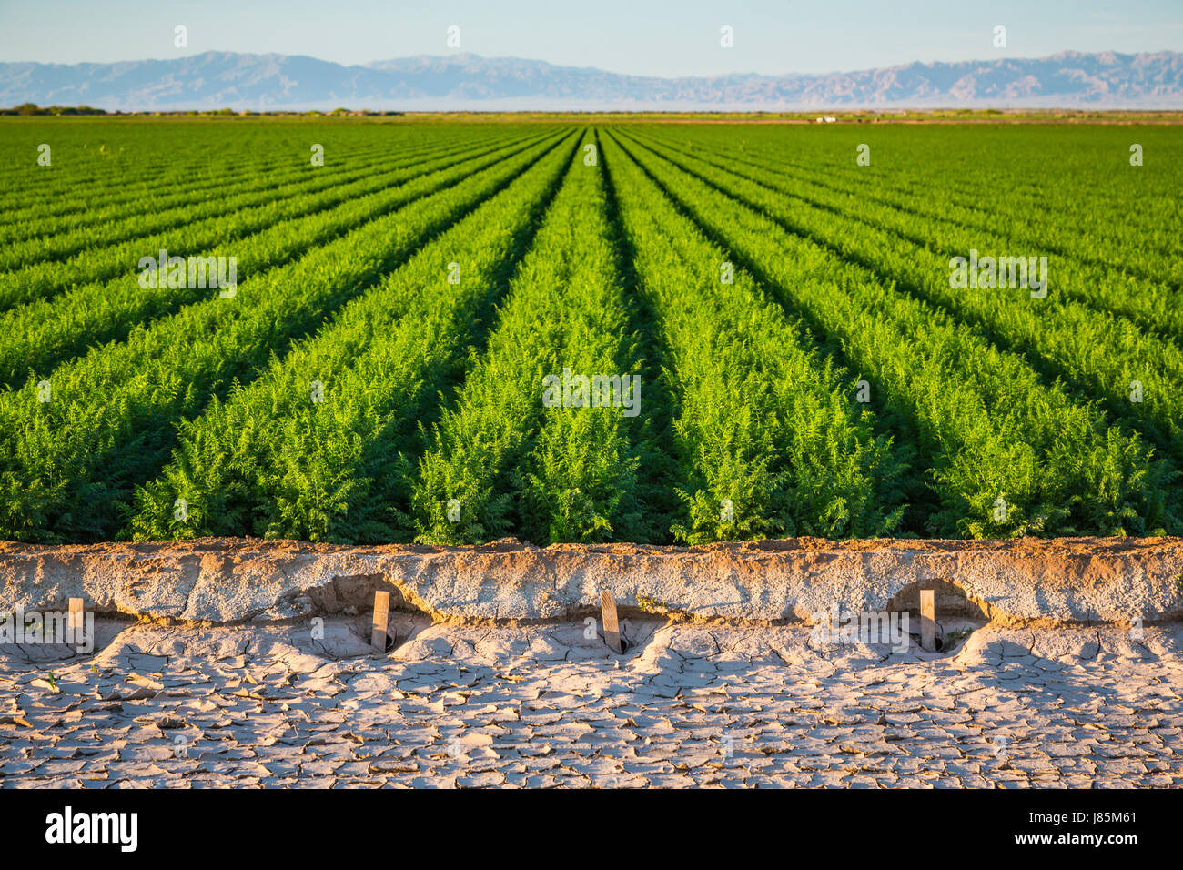 Irrigation rows hi-res stock photography and images - Alamy