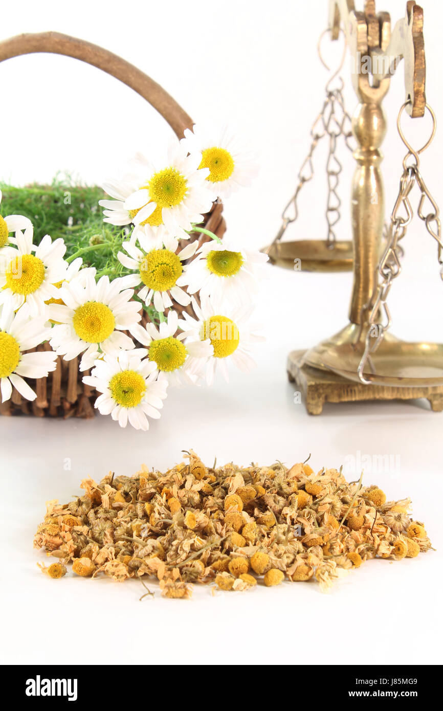 homeopathy means agent medicine drug remedy substance medicin ...