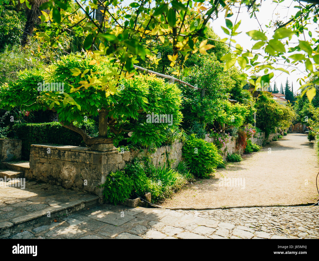 Lush vegetation, paved passageway and a pavilion at the arboretum in ...