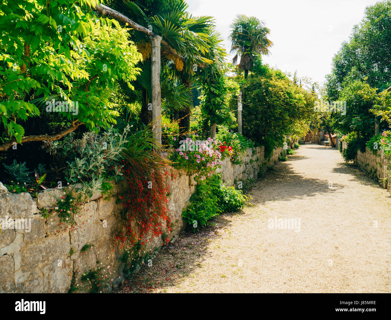 Lush vegetation, paved passageway and a pavilion at the arboretum in ...