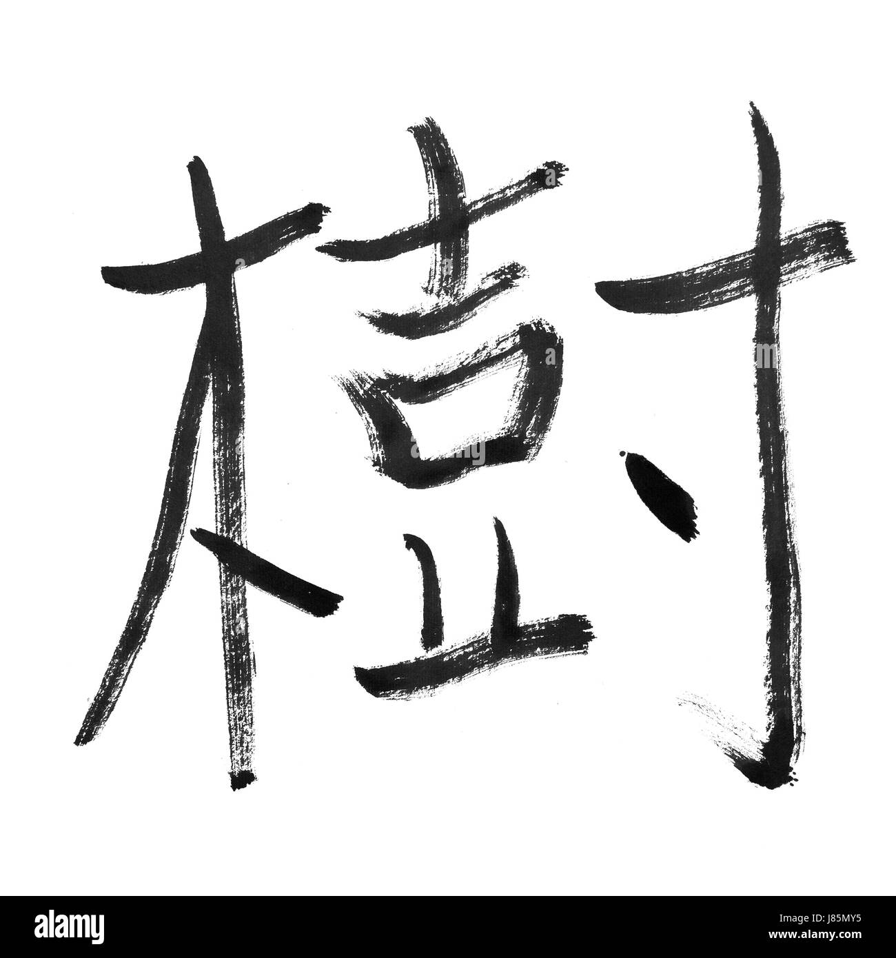 tree wood traditional arbor oriental handwriting forest plant write ...