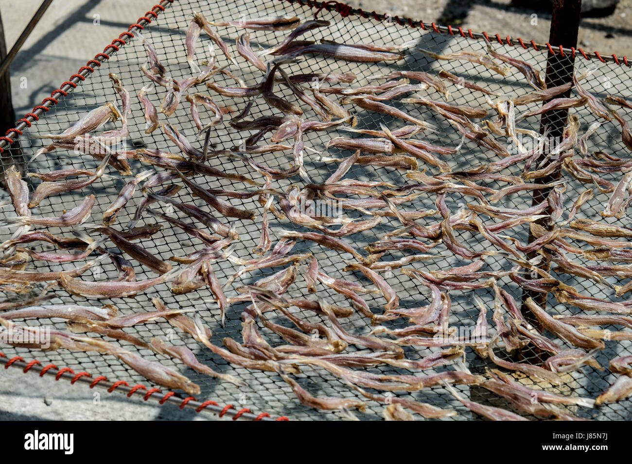 Southern Thailand Sun Dried Fish Stock Photo - Alamy