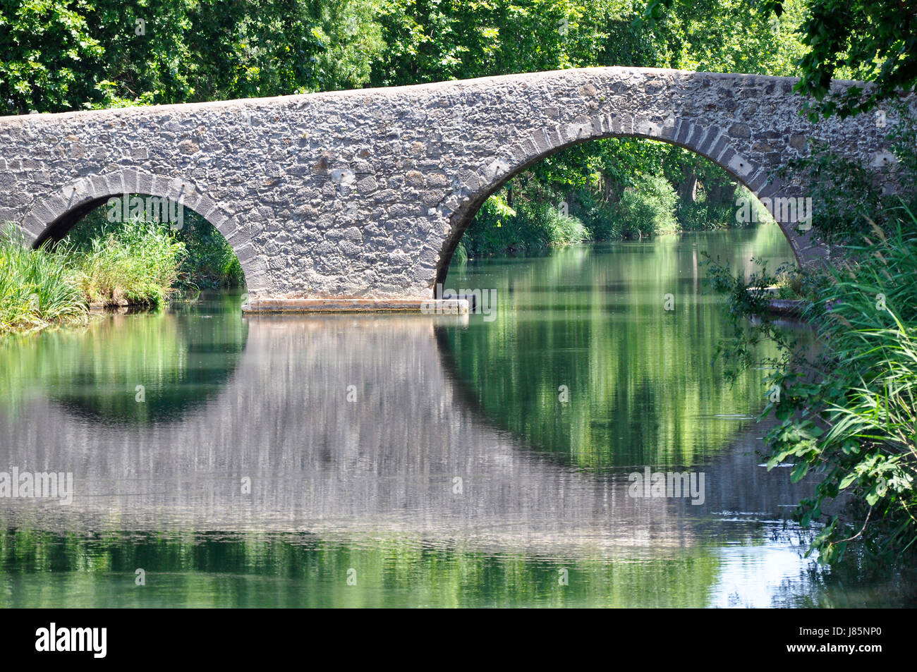 green bridge summer summerly forest river water nature green bridge arc ...
