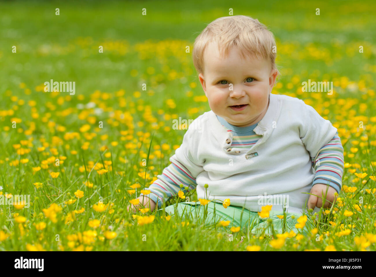 humans human beings people folk persons human human being laugh laughs ...