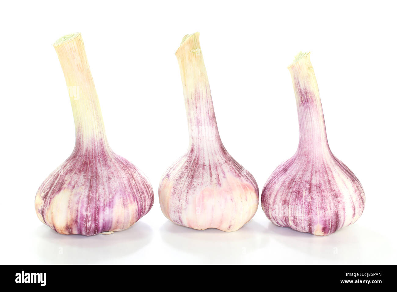 spice tubers toe garlic fresh health spice green blank european ...