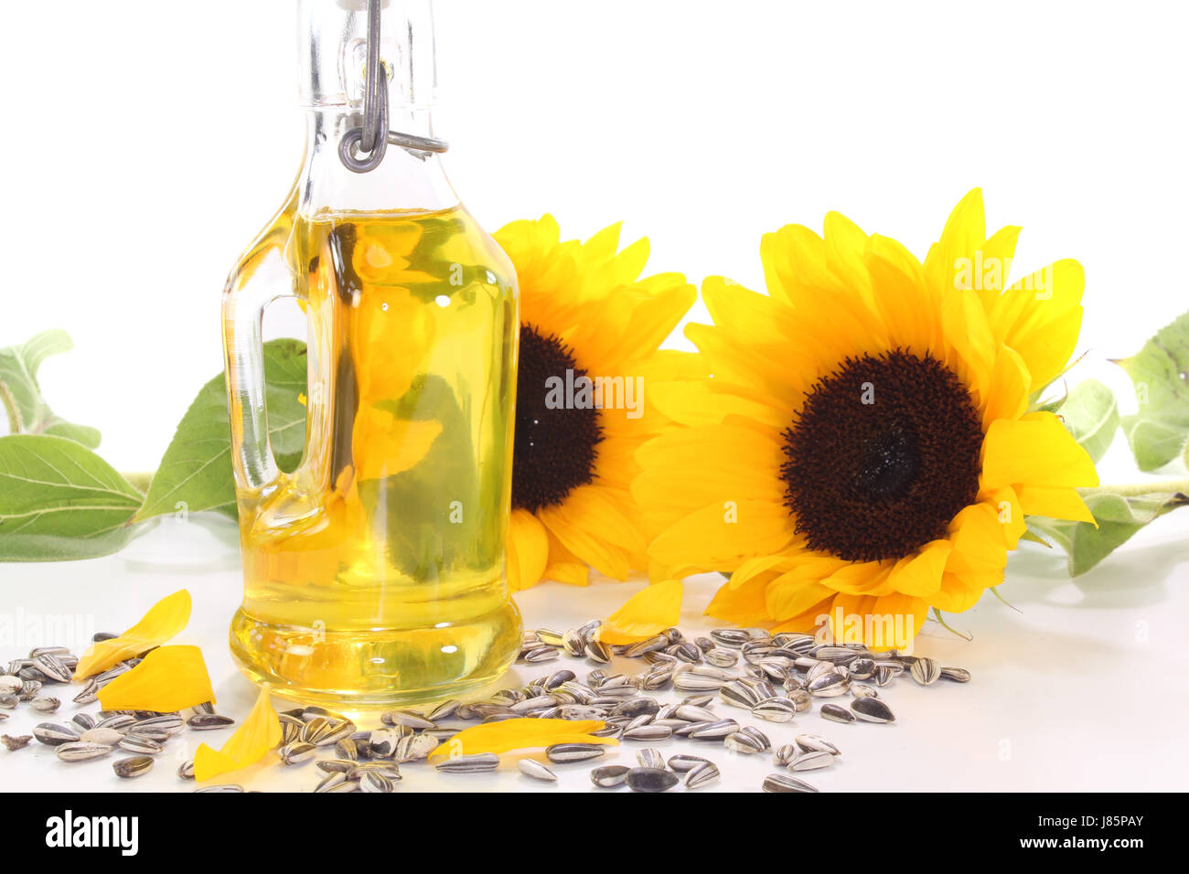 flower sunflower plant bake sunflower cores kernels oil oils roast fry ...