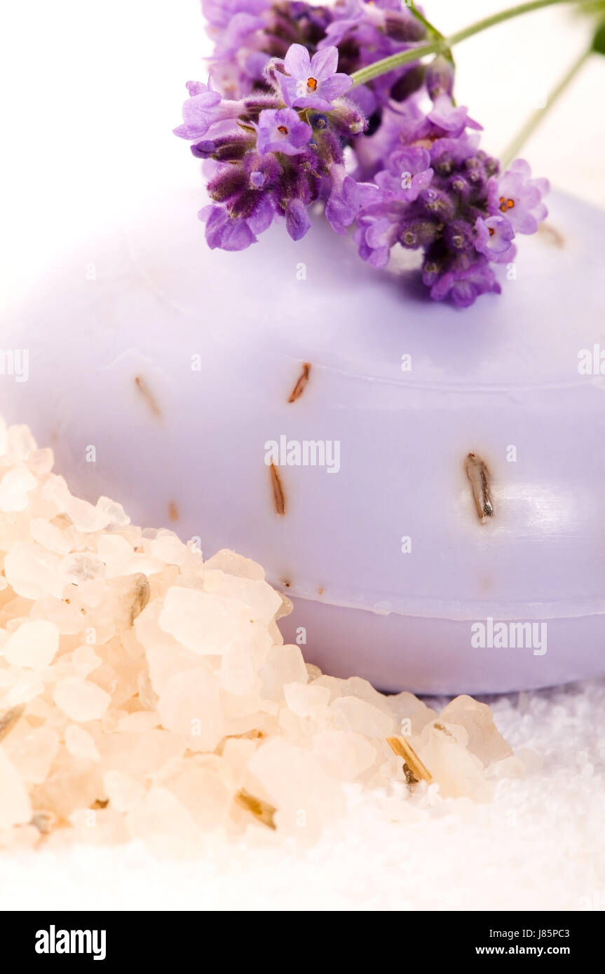 flower plant hygiene lavender soap cosmetic spa mineral spring ...