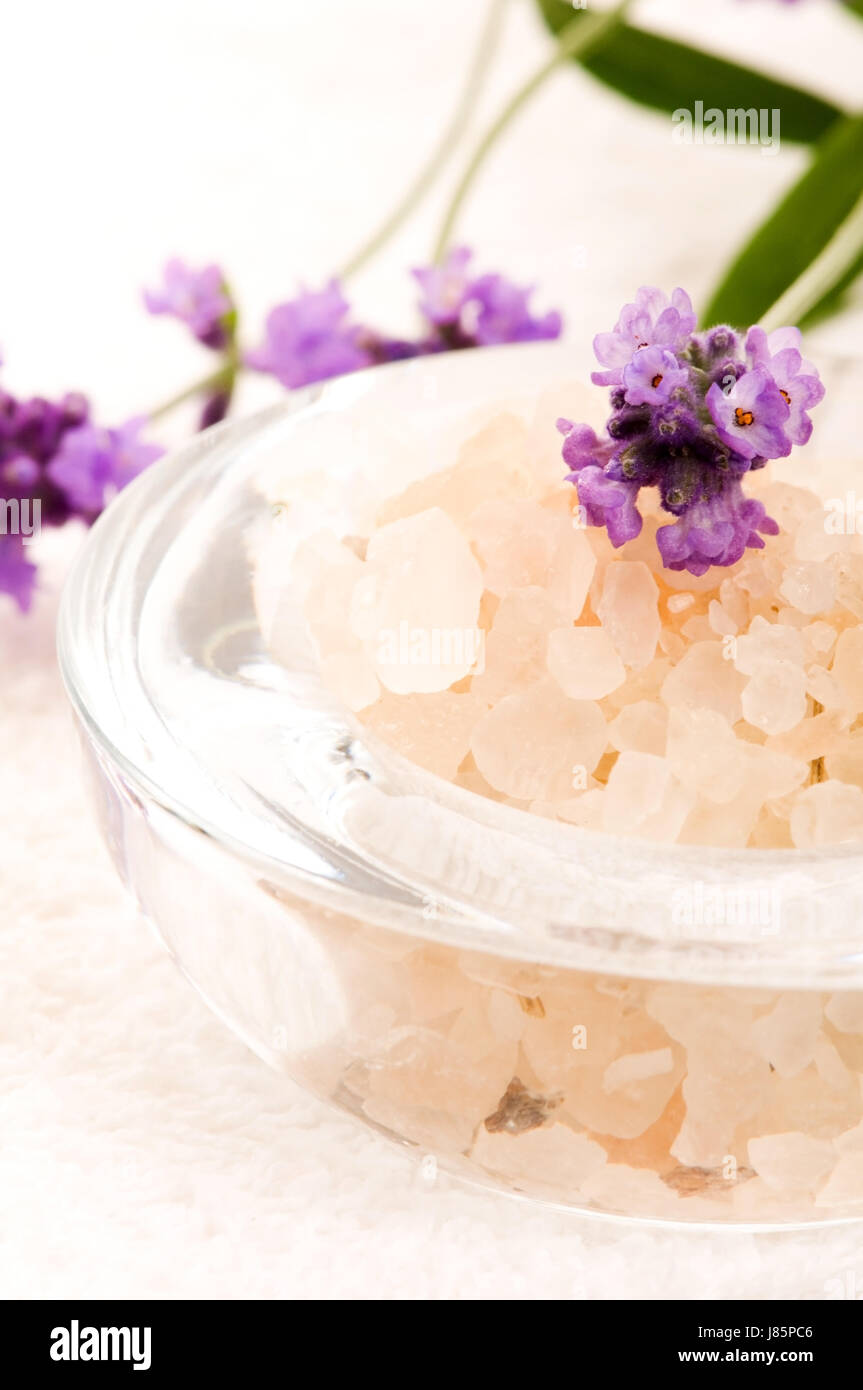 flower plant hygiene lavender cosmetic spa mineral spring medicinal ...