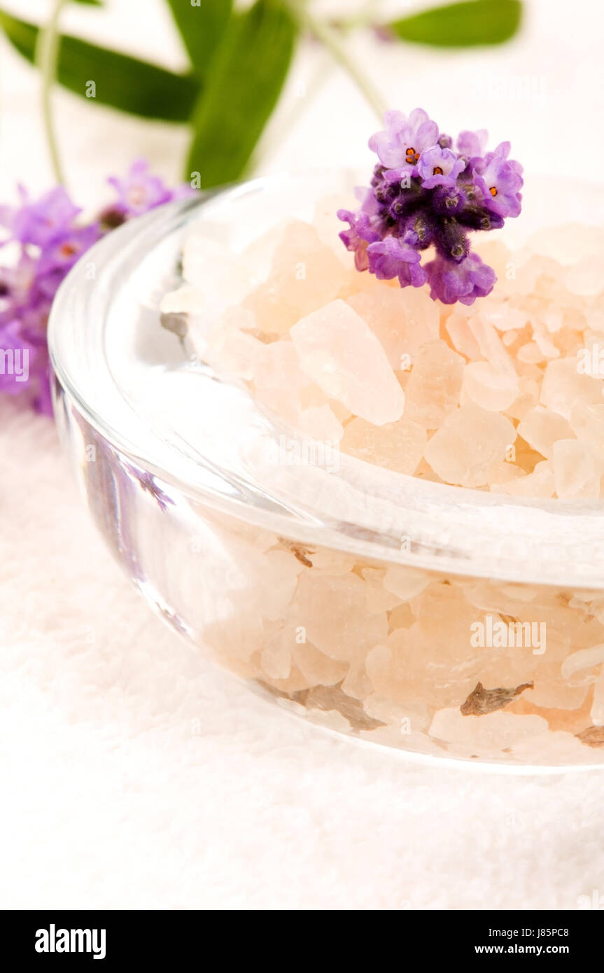 flower plant hygiene lavender cosmetic spa mineral spring medicinal ...