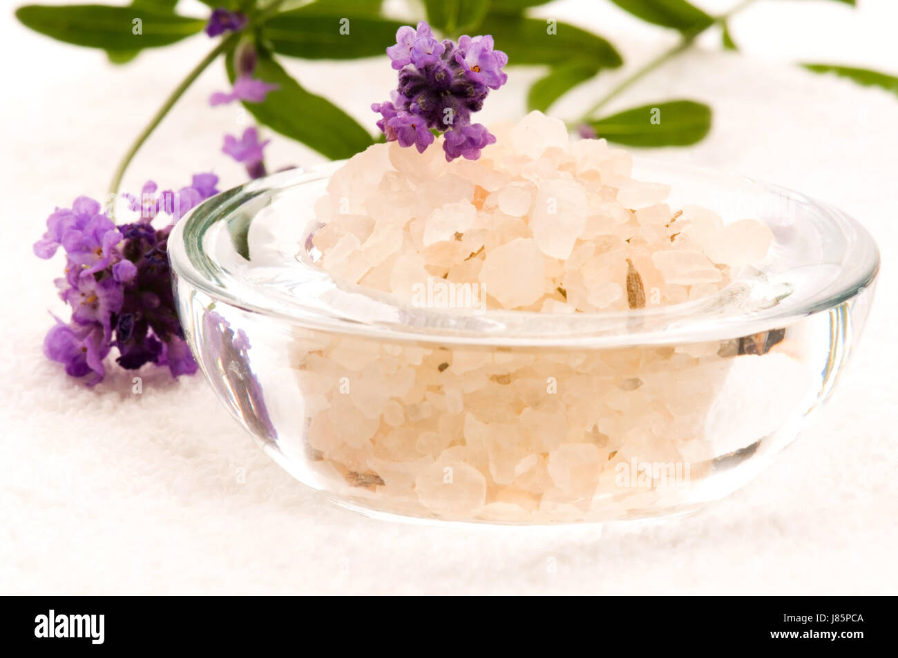 flower plant hygiene lavender cosmetic spa mineral spring medicinal ...