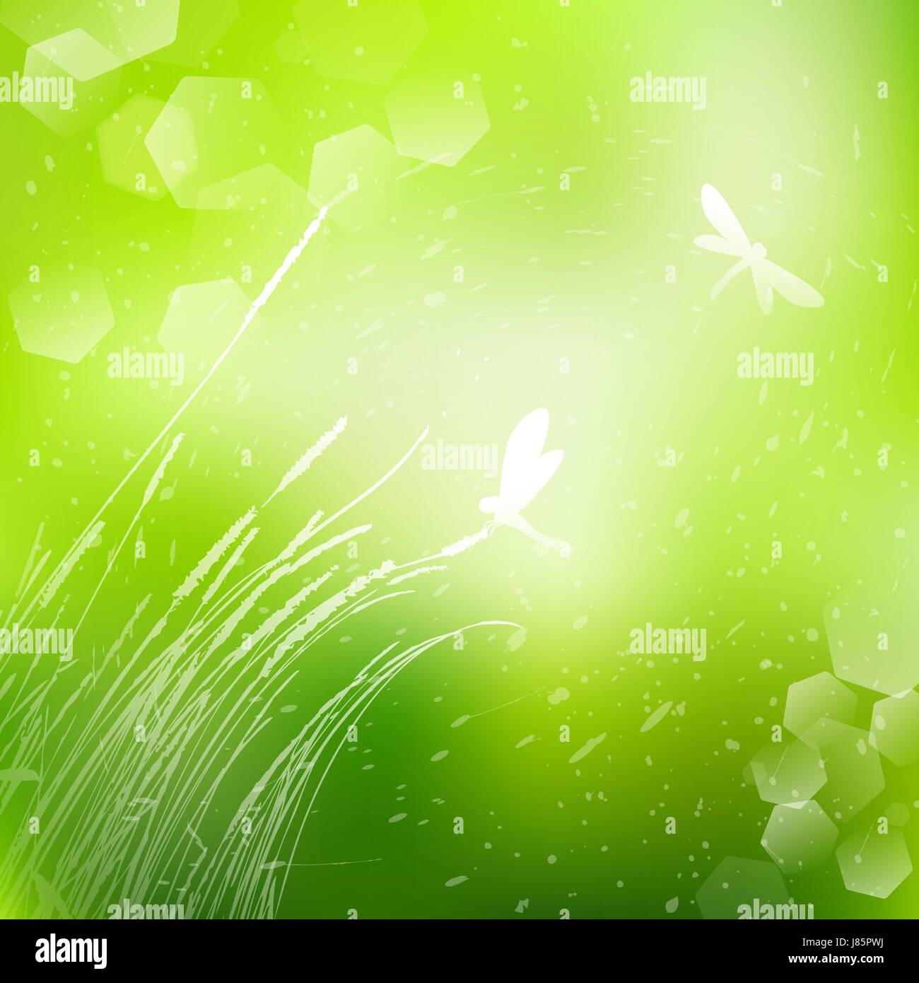 Vector abstract defocused bokeh lights nature spring summer background ...